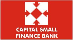 Top 10 Small Finance Banks in India [2024]