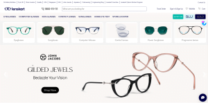 Lenskart Business Model Case Study - How Does Lenskart Work?
